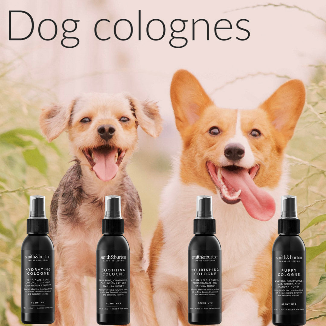 Keep Your Dog Smelling Great with Happy Town Pets Colognes – Happy Town ...