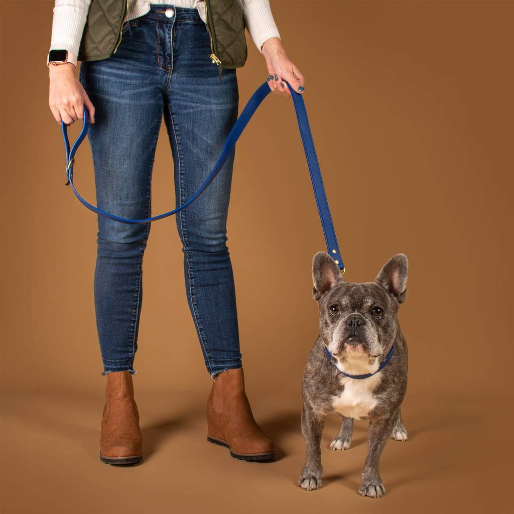Blue Leather Adjustable Leash | Dog & Cat | Eco-Friendly | 2 Sizes ...